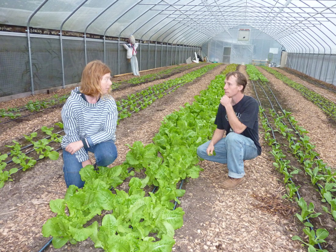 Growing Year-Round: Grow Ohio Valley Champions Winter Farming | News ...